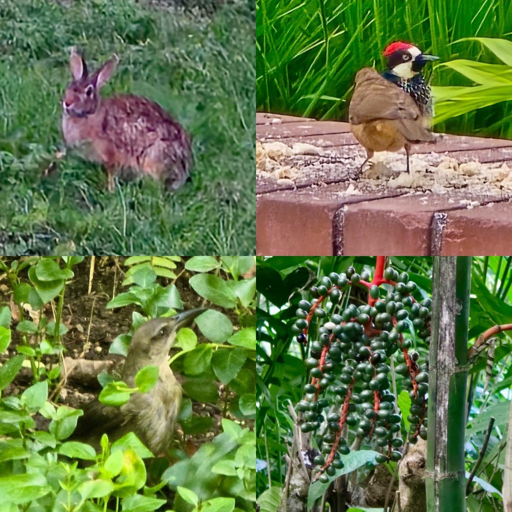 Un campus para explorar - El Amigo de la Marro