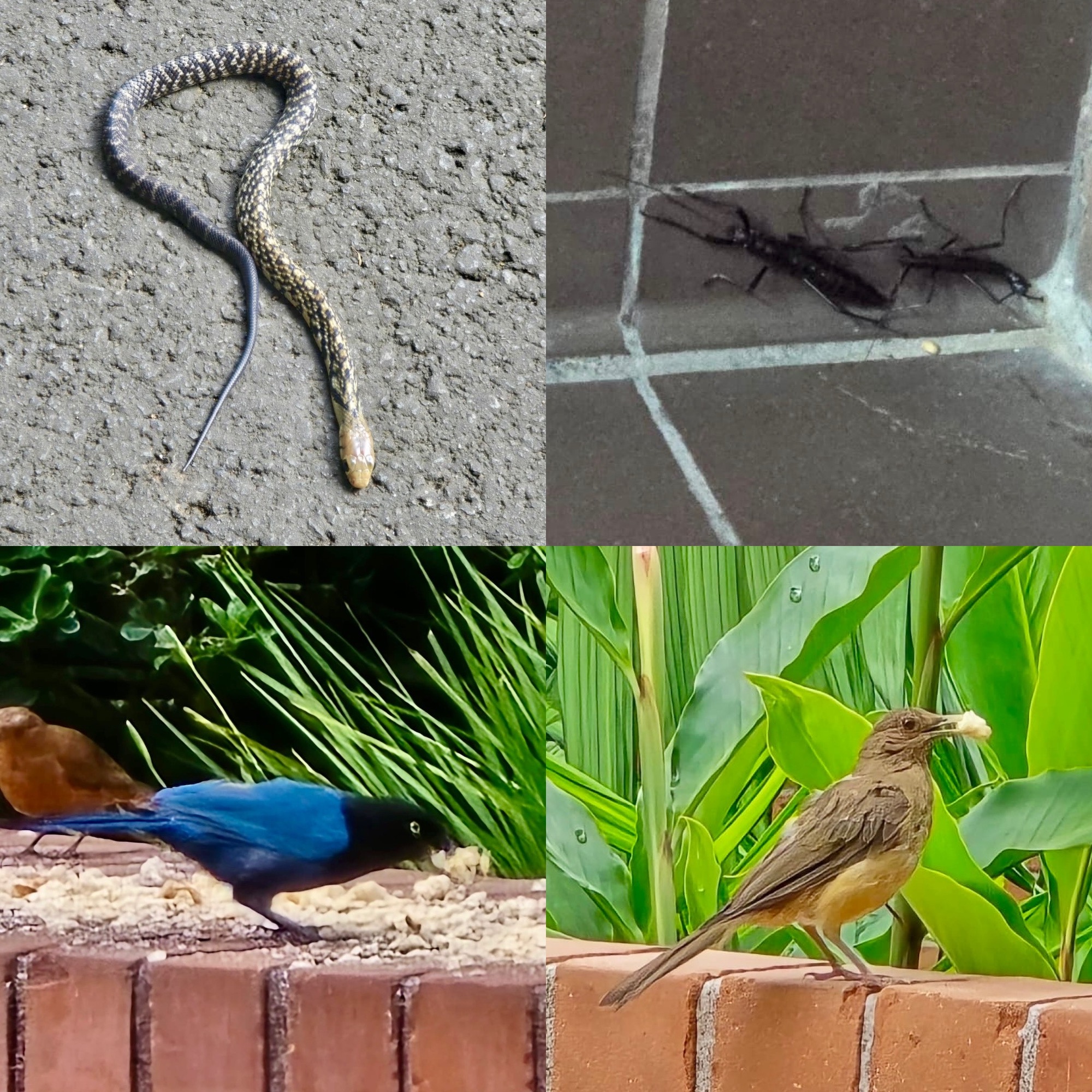 250725-arboretum-ufm-naturaleza-3 - El Amigo de la Marro